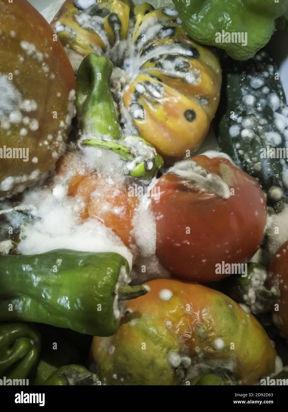 Rotten fruits with mold and bacteria, food poisoning Stock Photo - Alamy
