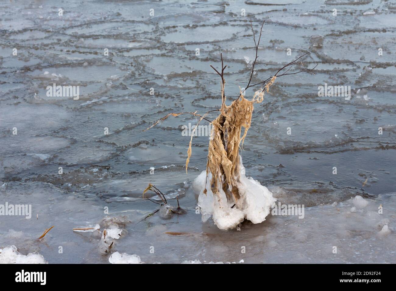 Freezing saskatchewan lake hi-res stock photography and images - Alamy