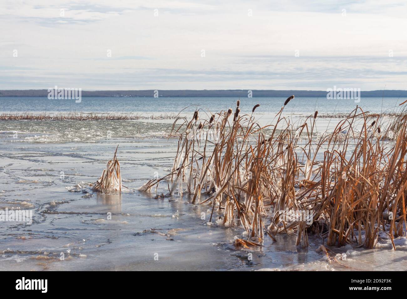Lake beginning to freeze over in winter, prairie lake, Saskatchewan ...