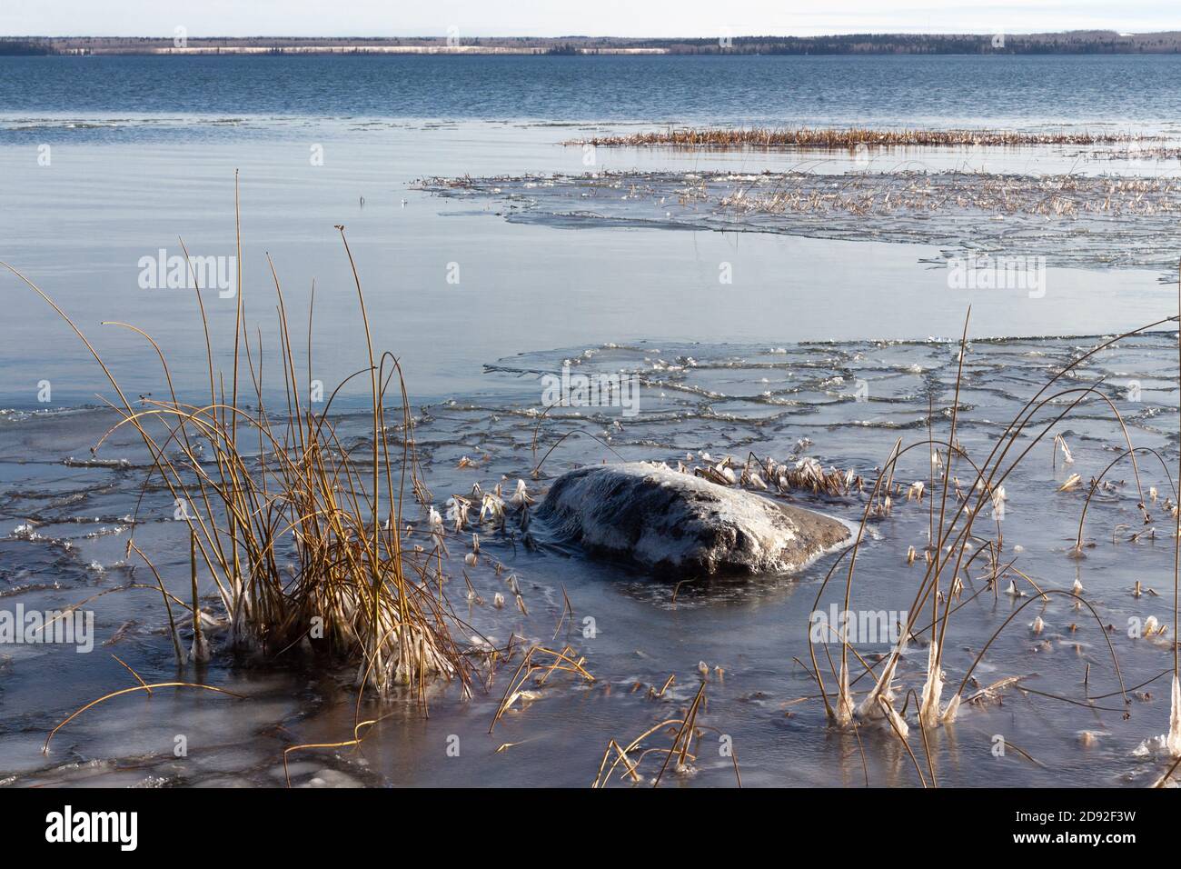 Lake beginning to freeze over in winter, prairie lake, Saskatchewan ...