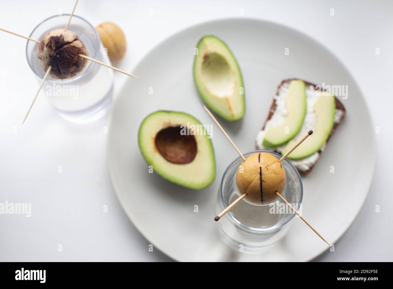 On a plate is a ripe avocado and a sandwich with cereal bread, soft ...