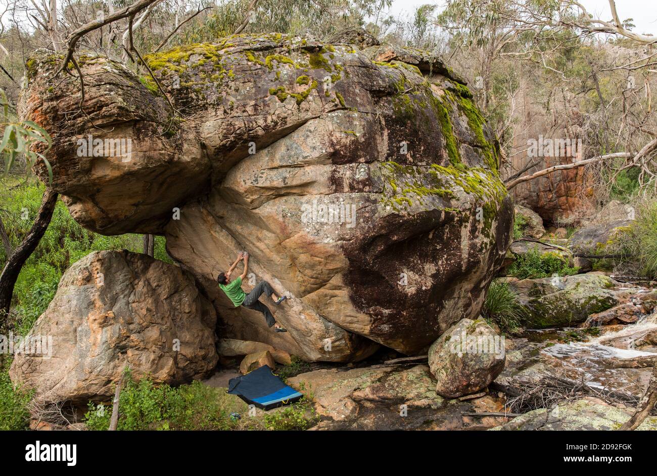 Athletic male climbs outside on a boulder in a forest Stock Photo - Alamy