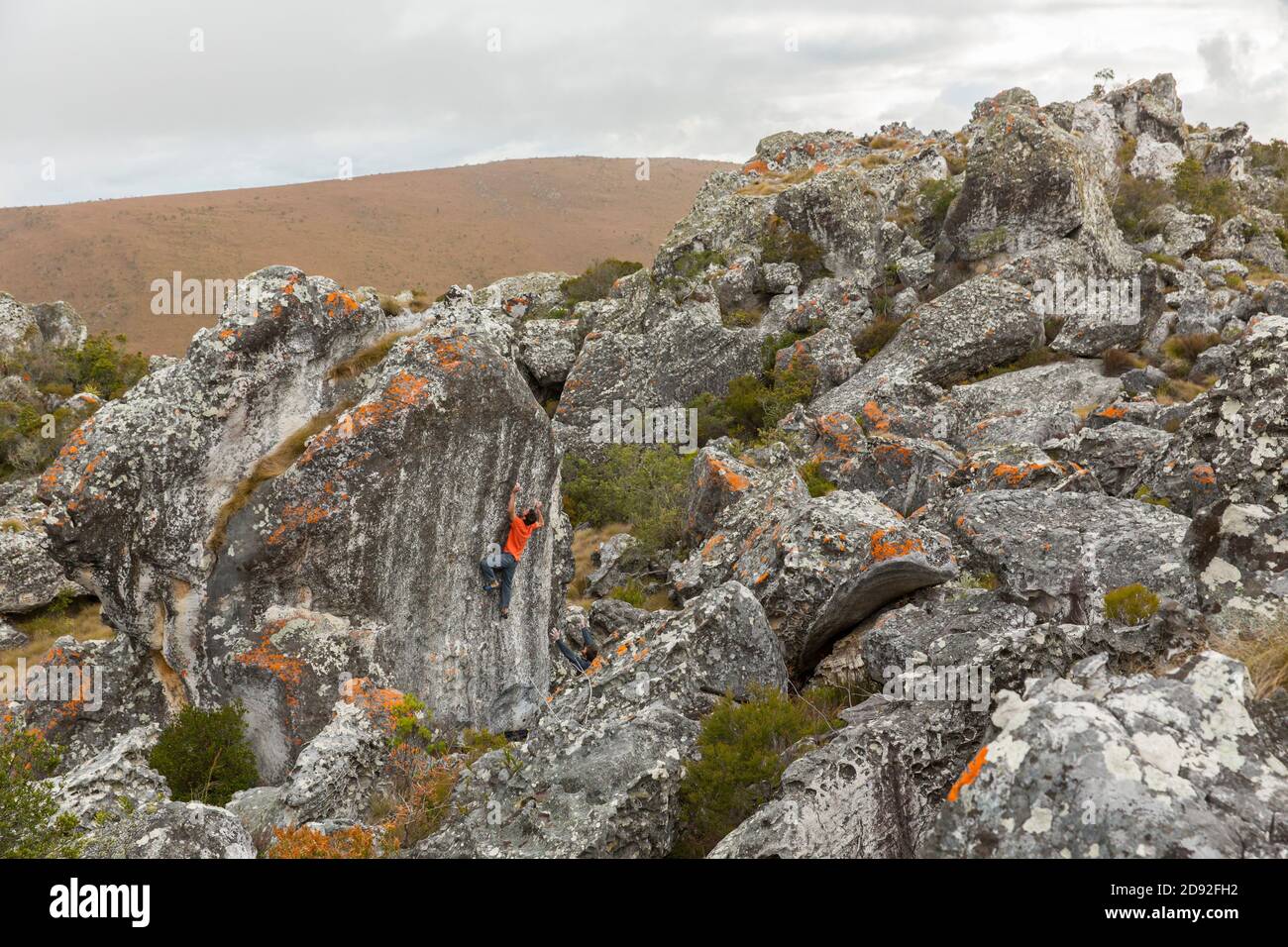 Athletic male climbs outside on a boulder in a rocky field Stock Photo ...