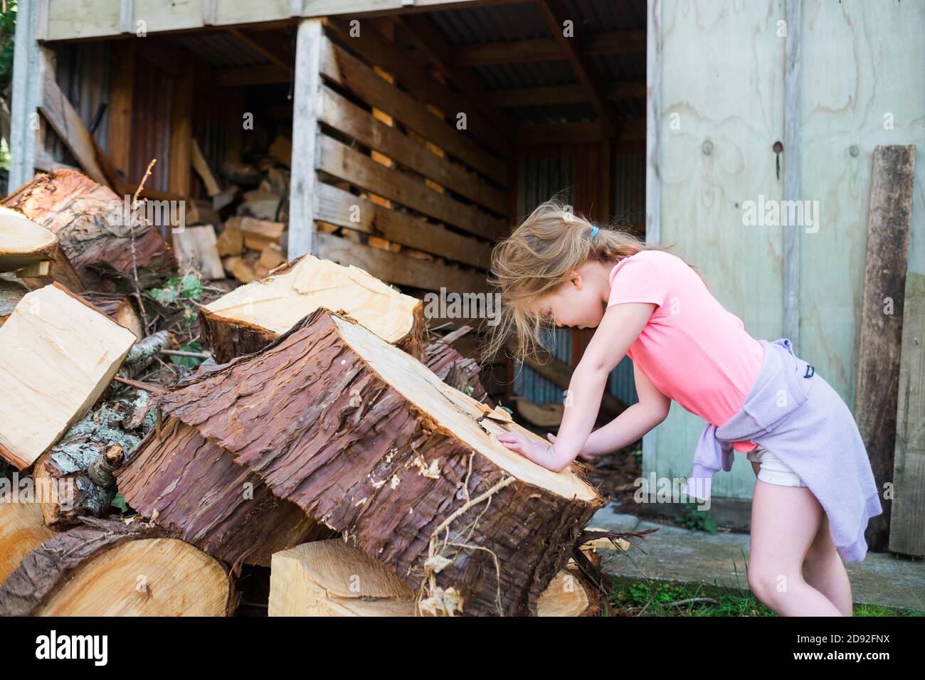 Young girl counting rings on a tree stump beside woodshed Stock Photo ...