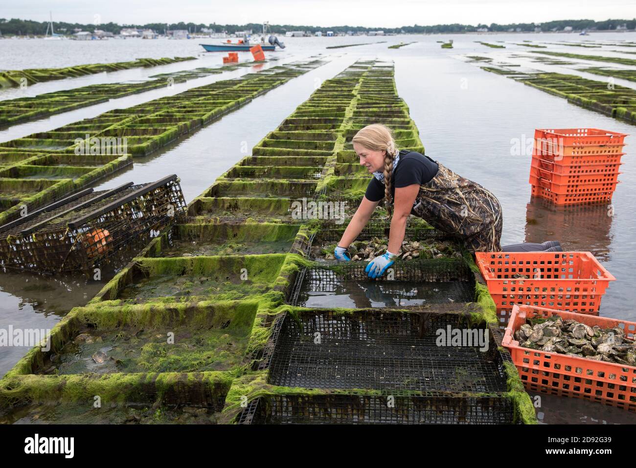 Cages year hi-res stock photography and images - Alamy