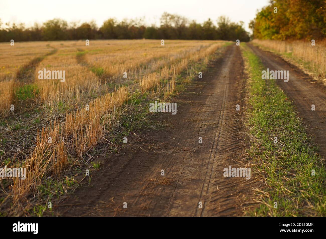 Panoramic landscape with two country roads hi-res stock photography and ...
