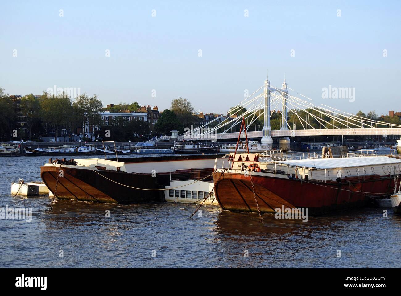 Prince Albert Bridge Stock Photo - Alamy