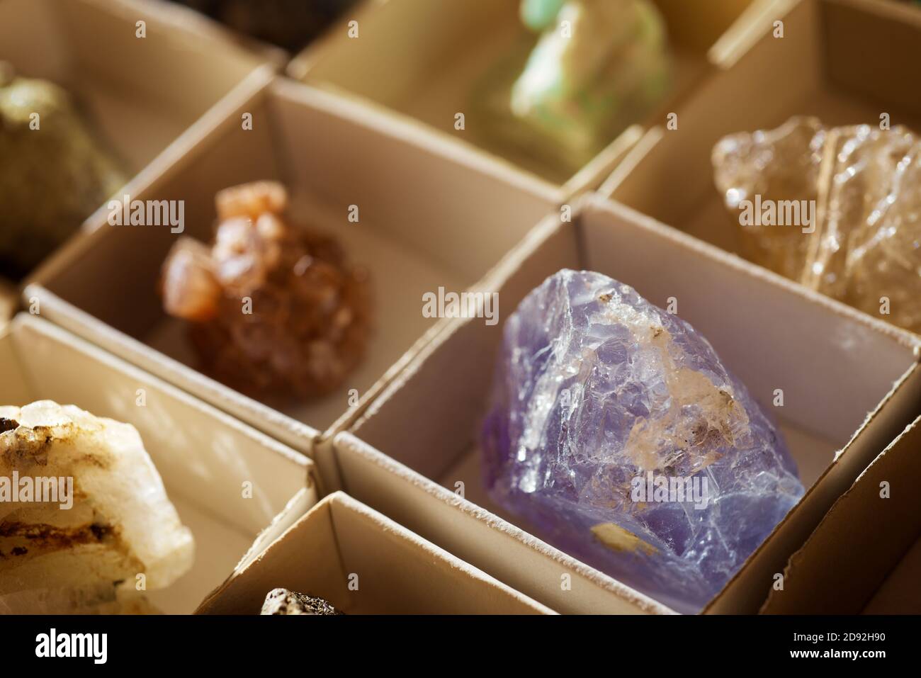 Collection of minerals in cardboard boxes Stock Photo - Alamy