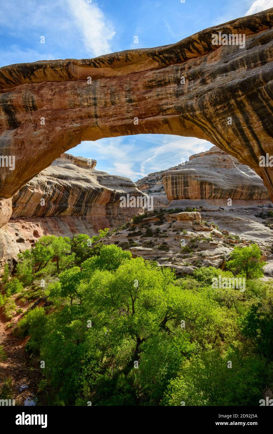 Natural Bridges National Monument Stock Photo - Alamy