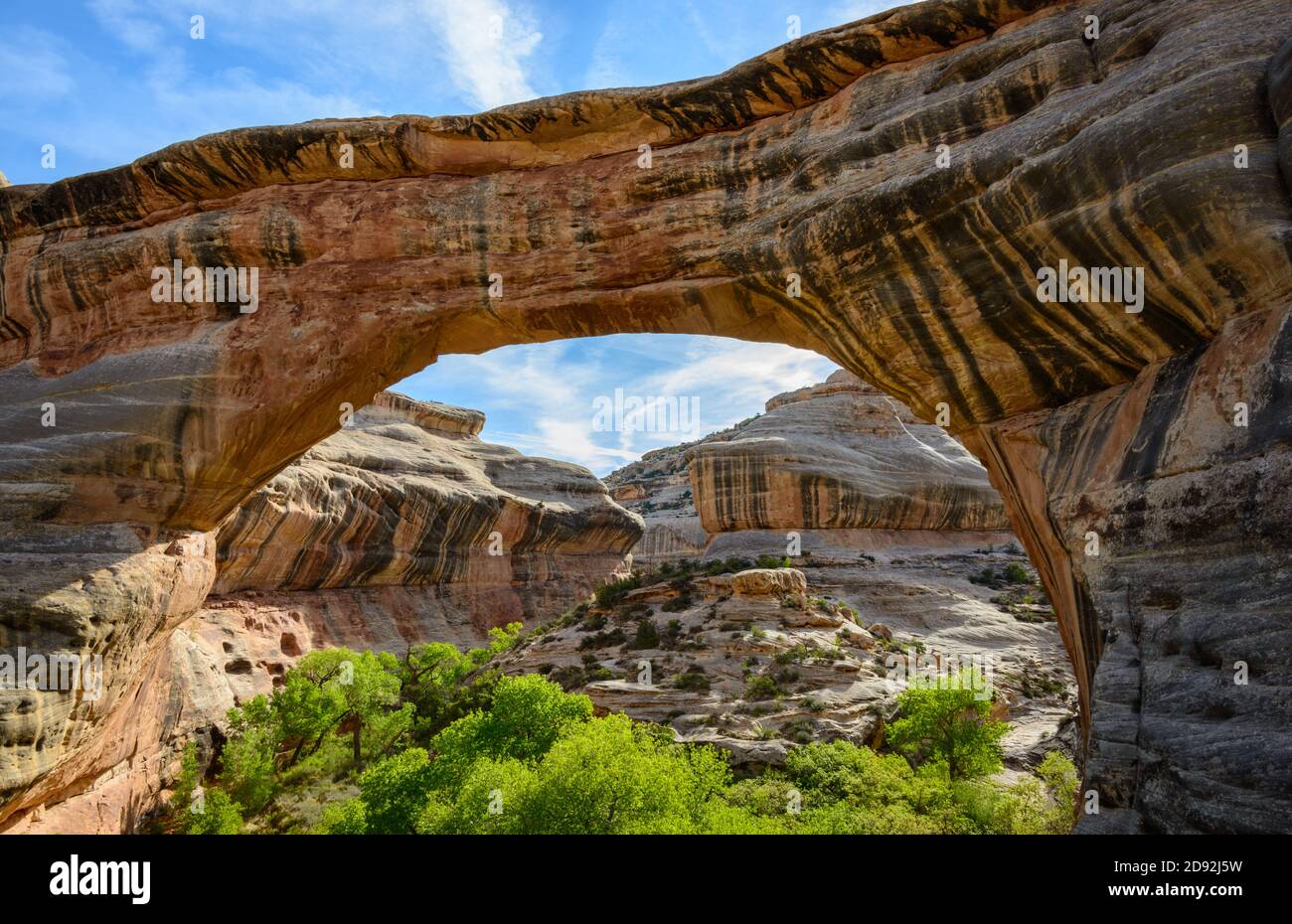 Natural Bridges National Monument Stock Photo - Alamy