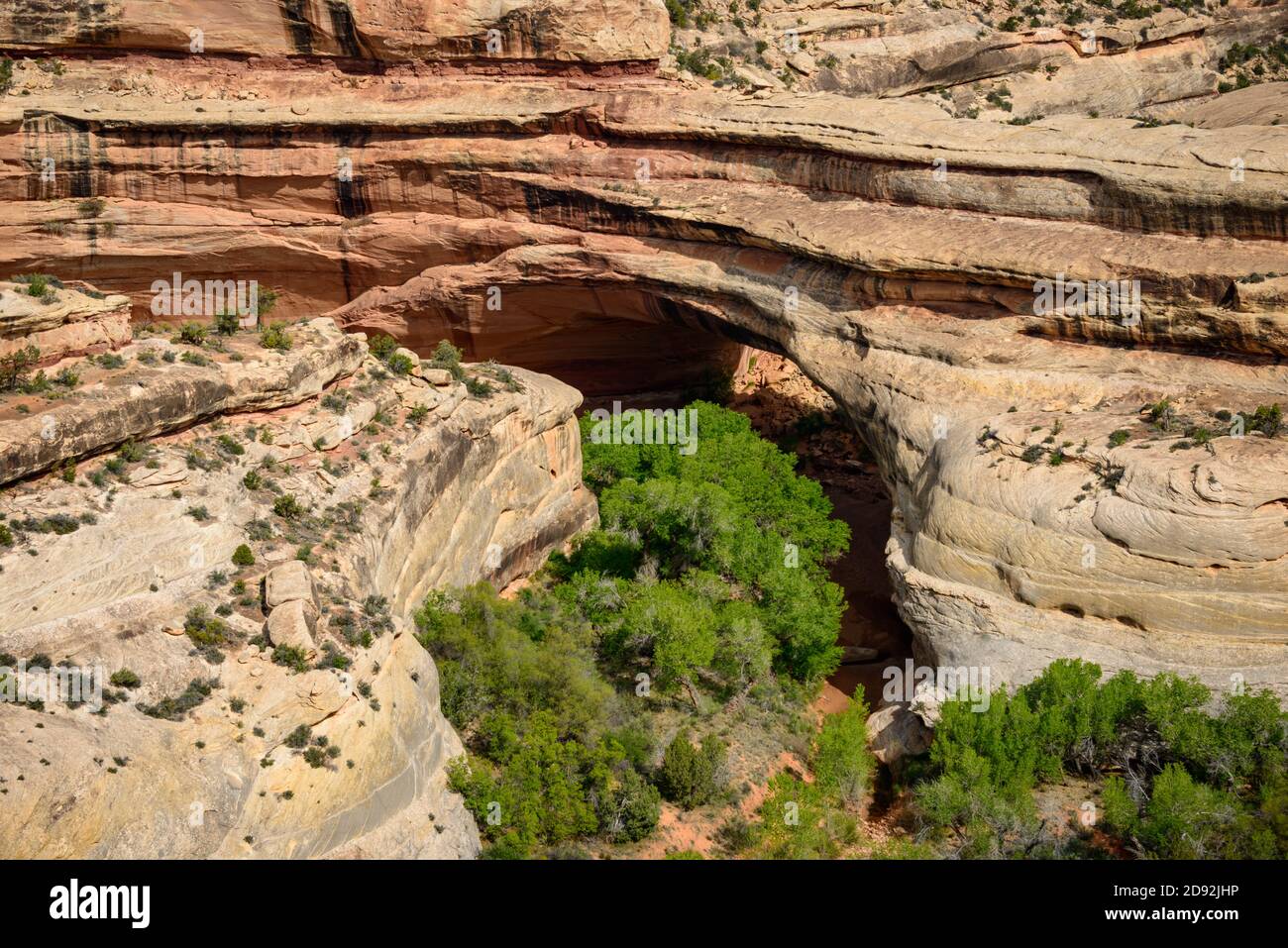 Natural Bridges National Monument Stock Photo - Alamy