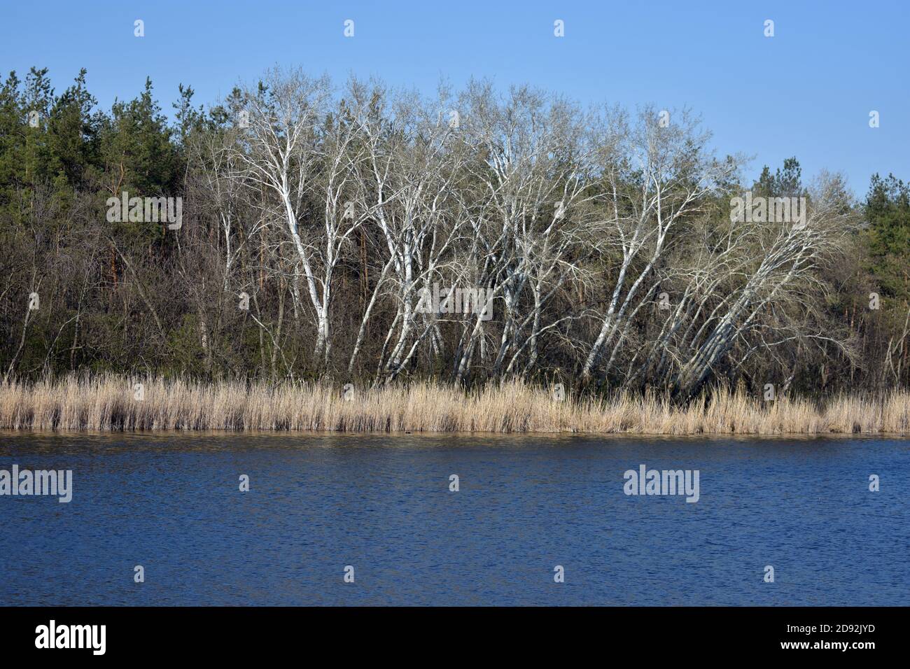 Riverscape in Spring Stock Photo - Alamy