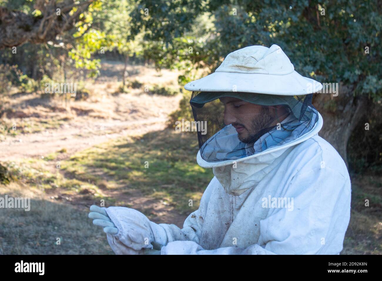young beekeeper putting on the gloves of his protective suit against ...