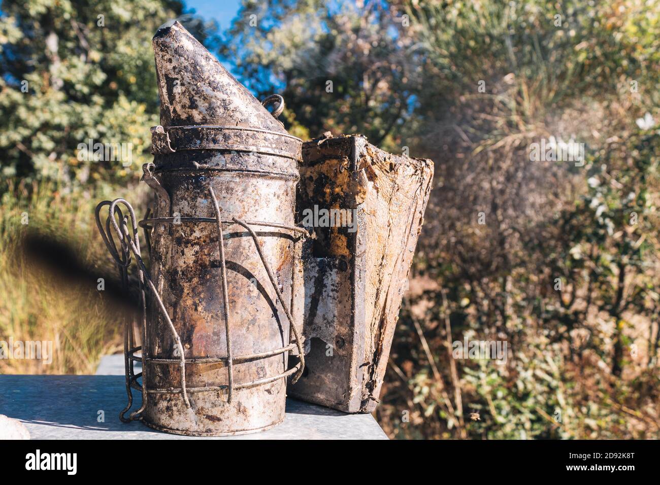 Stunner hi-res stock photography and images - Alamy