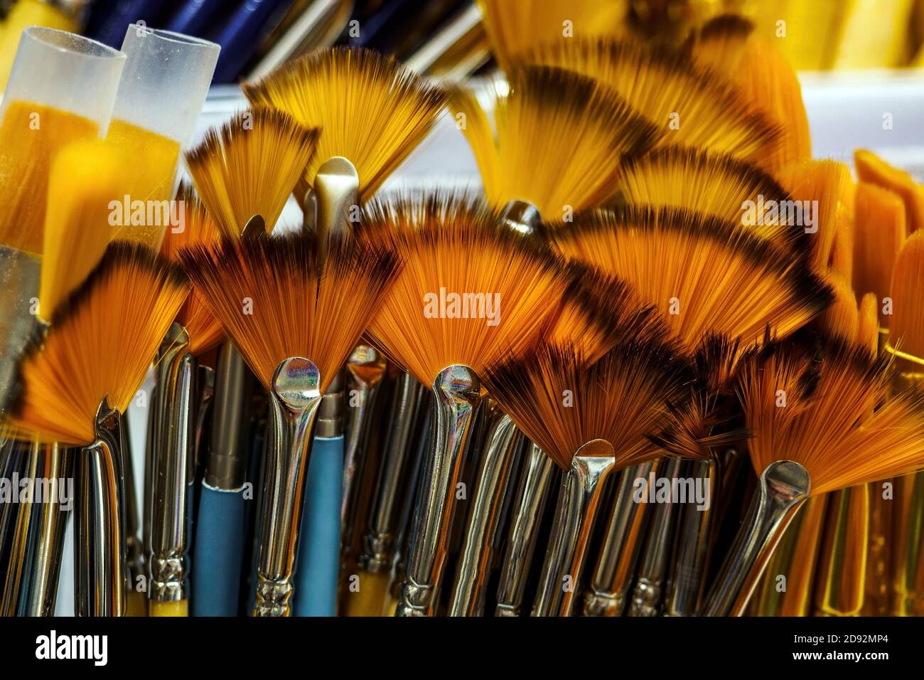 Close up fan shaped hi-res stock photography and images - Alamy