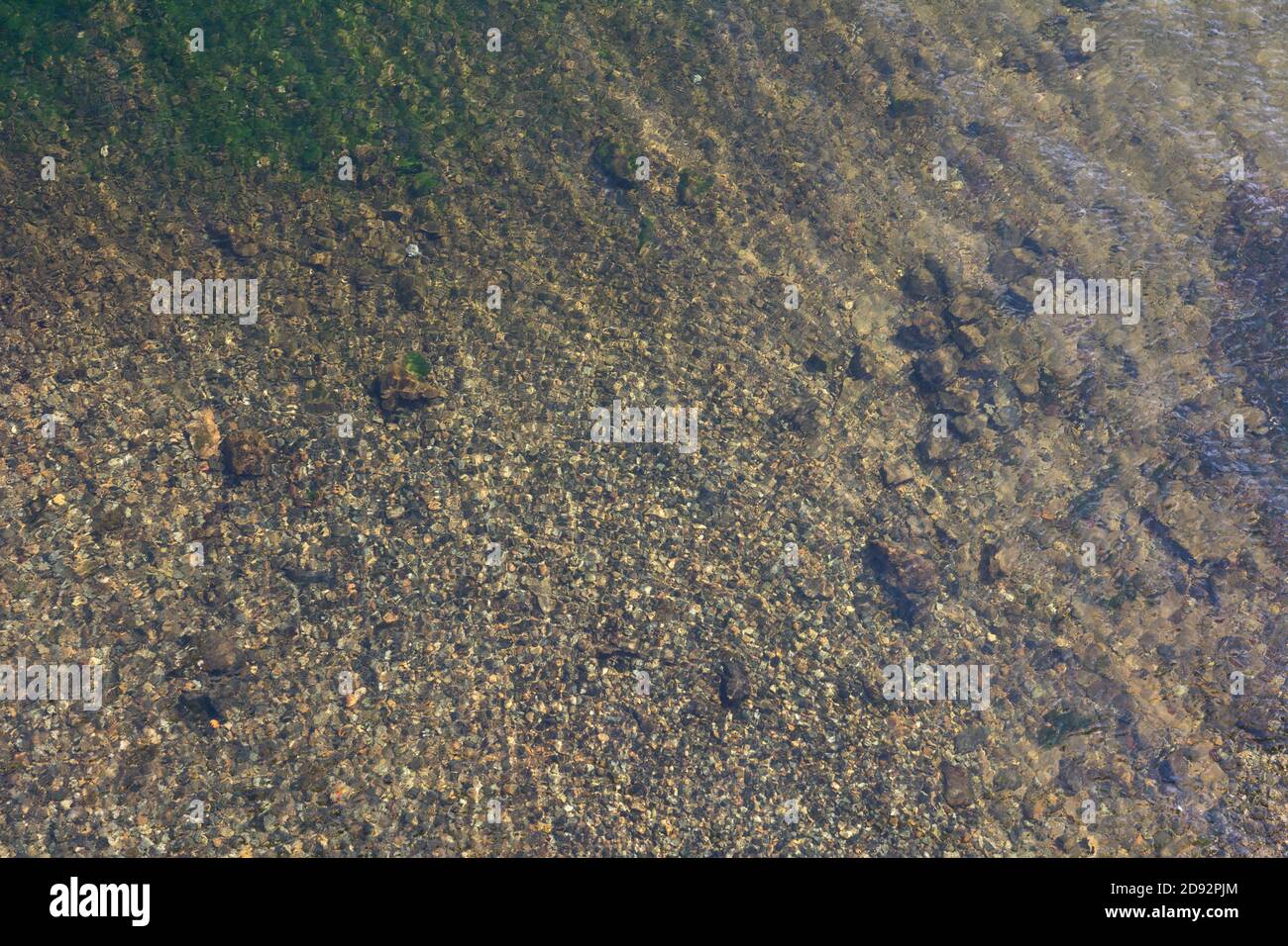 The bottom of Lake is visible through clear water Stock Photo - Alamy