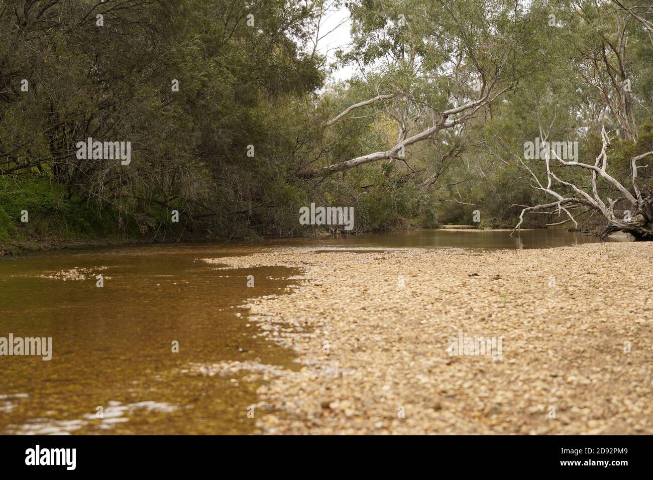 Gold and gem bearing river gravel of Reedy creek, Victoria Australia ...