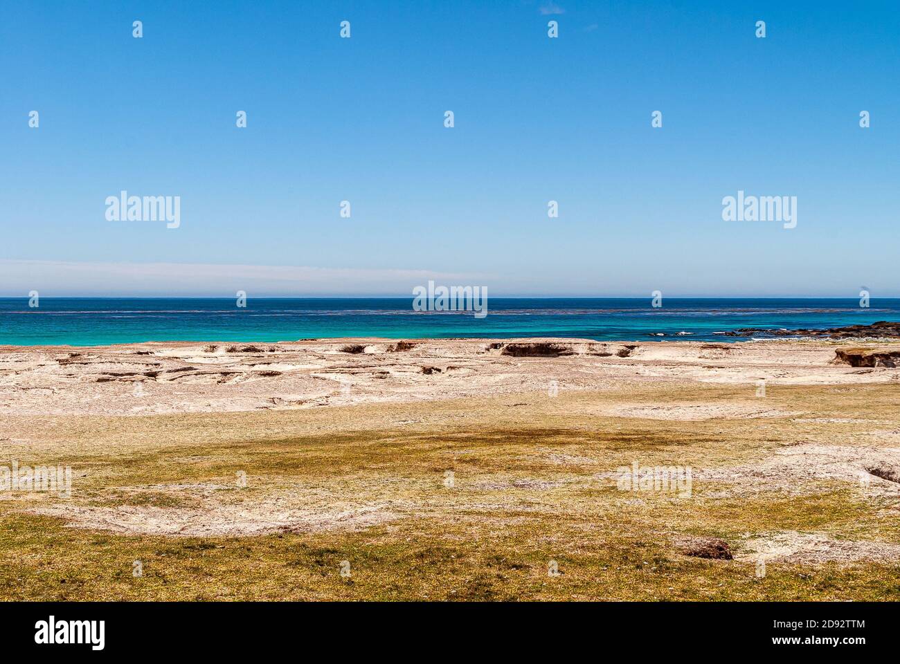 Falklands archipelago hi-res stock photography and images - Alamy