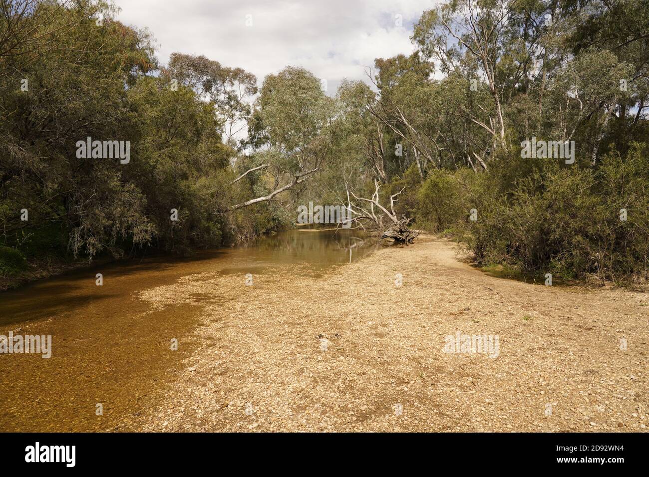Gold and gem bearing river gravel of Reedy creek, Victoria Australia ...