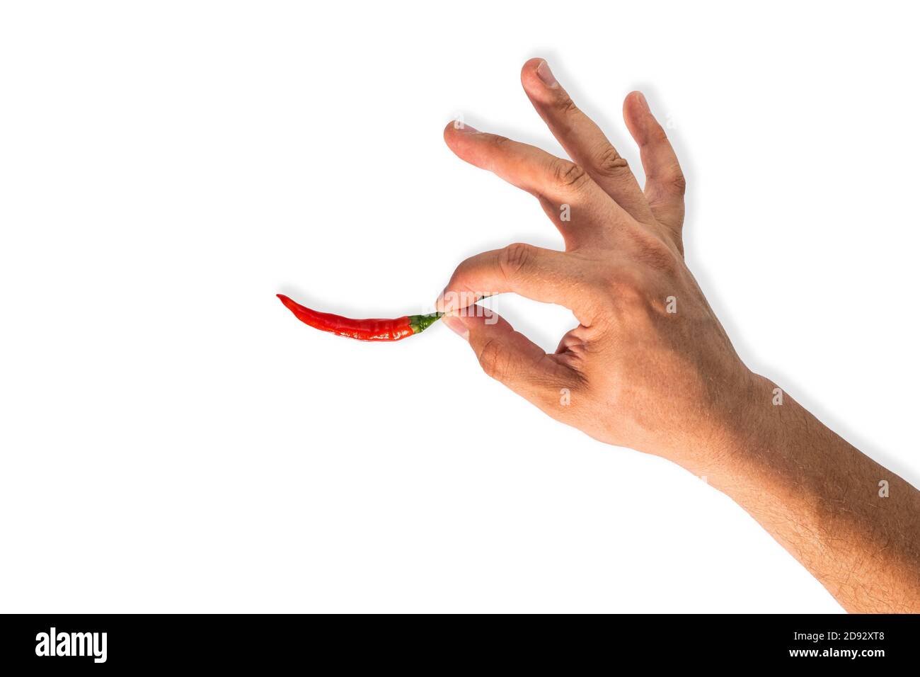 Hand holding red hot pepper hi-res stock photography and images - Alamy
