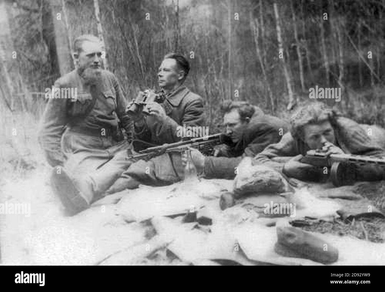 Kardo hi-res stock photography and images - Alamy