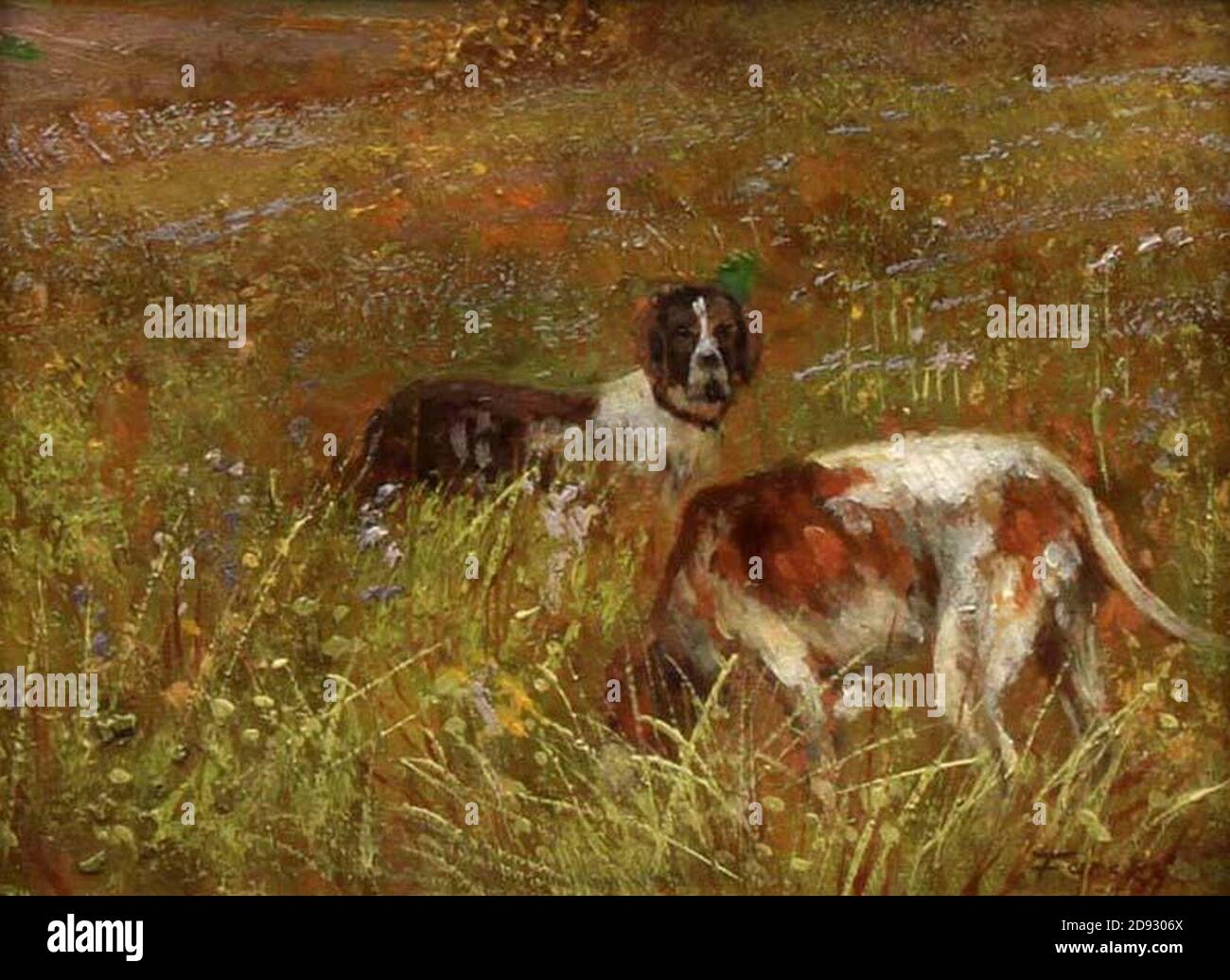 Louce hi-res stock photography and images - Alamy