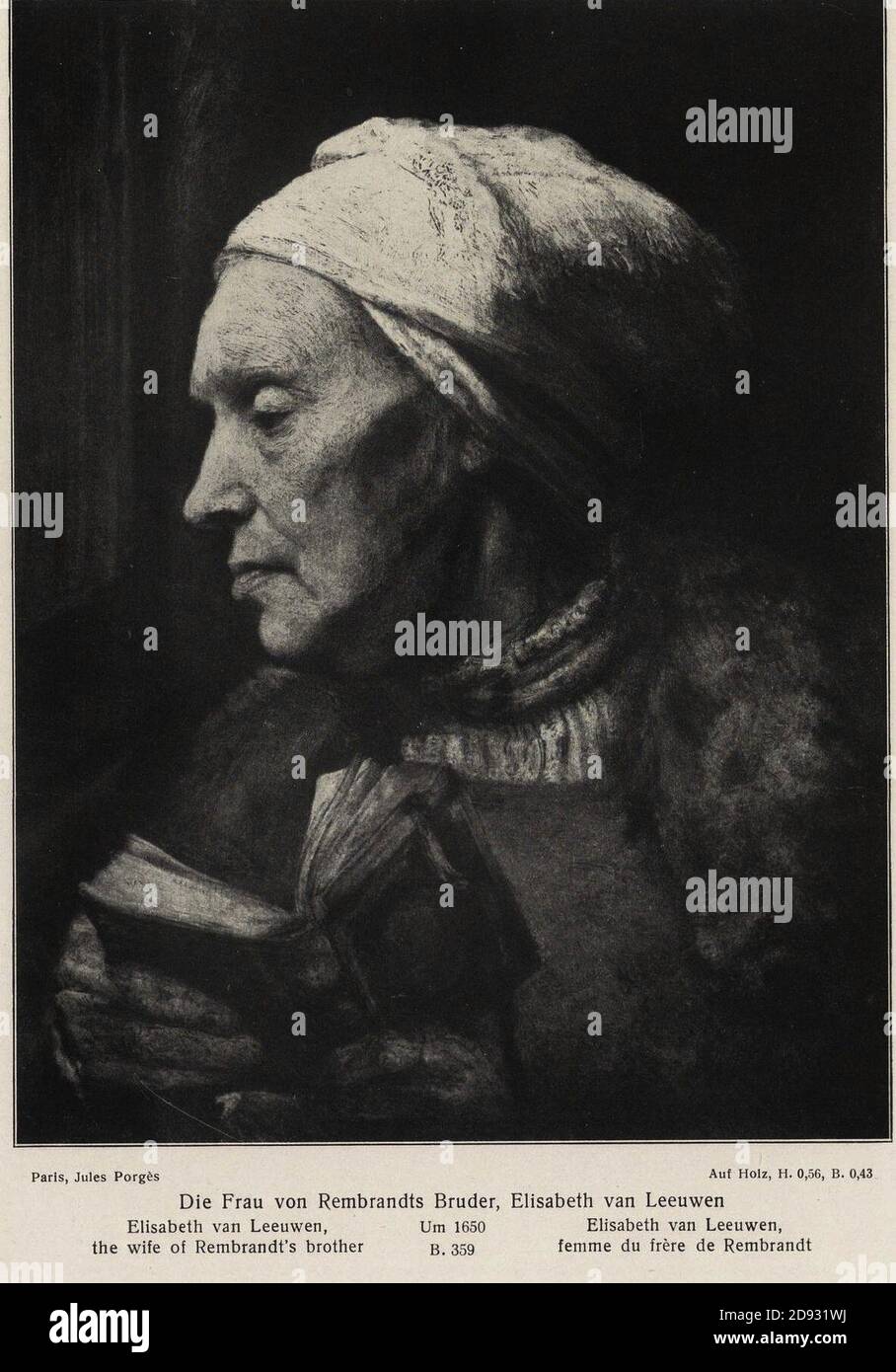 Pluym hi-res stock photography and images - Alamy