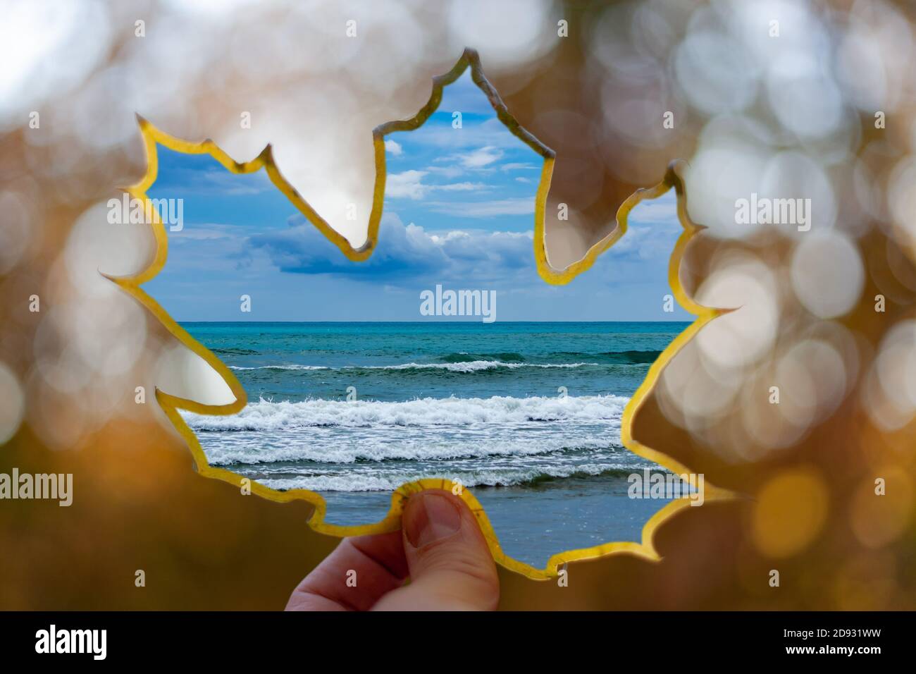 hand holds a maple leaf, instead of a leaf azure sea Stock Photo - Alamy