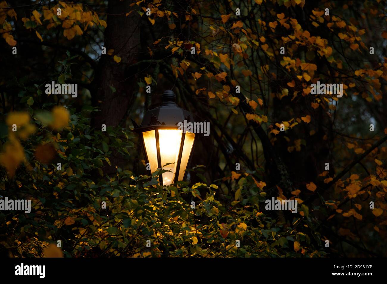 Garden path with autumn leaves and an outdoor lamp hi-res stock ...