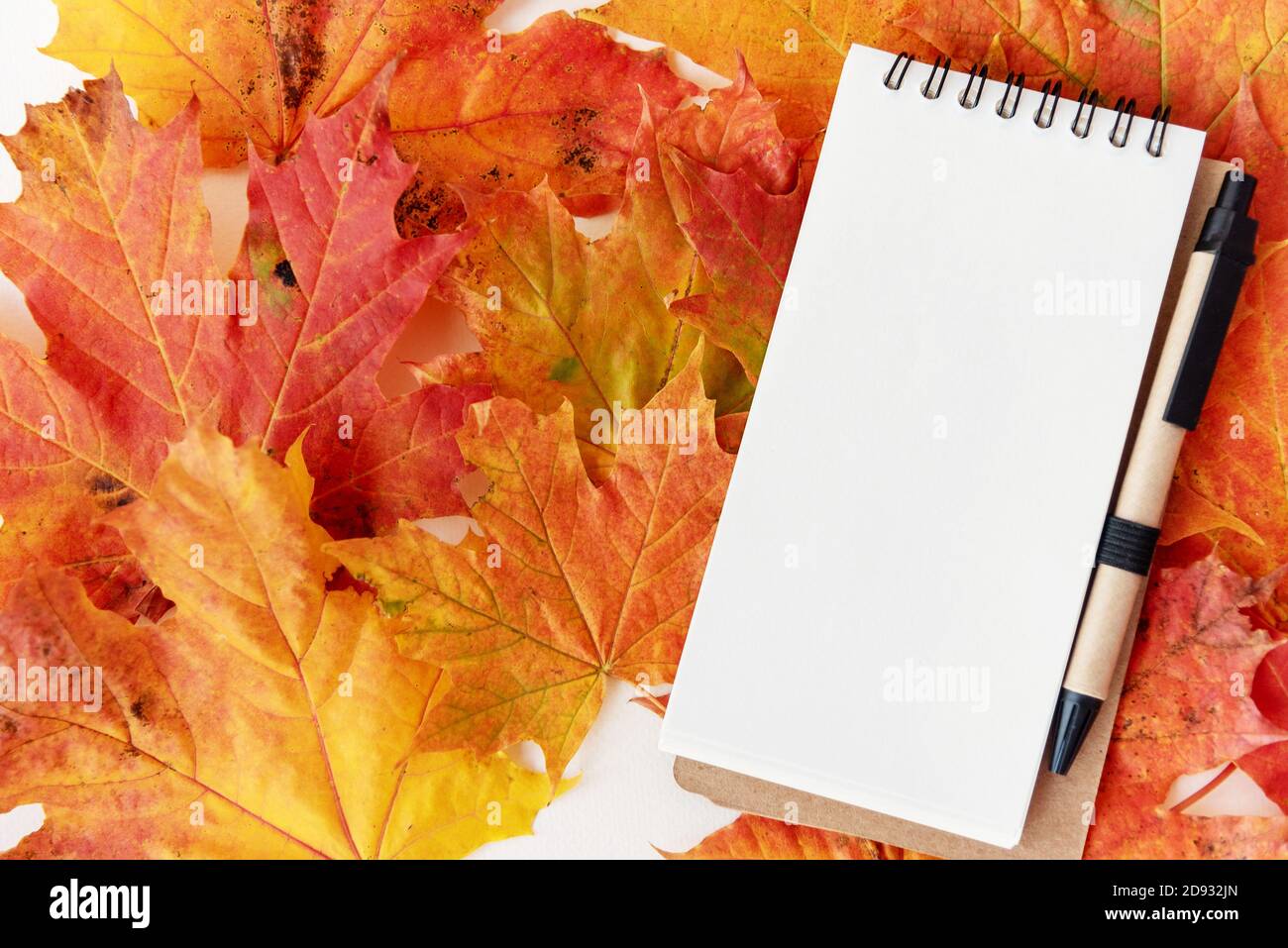 Autumn maple leaves and blank notebook with pen Stock Photo - Alamy