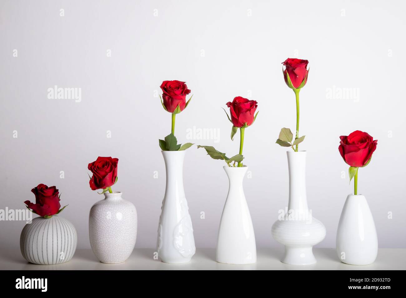 six white vases, each with a red rose against a white background ...
