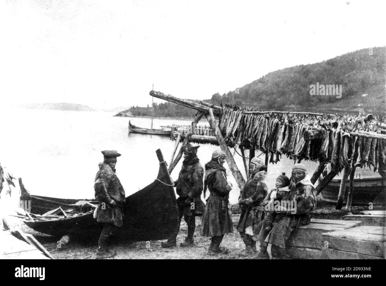 Samer tree Black and White Stock Photos & Images - Alamy