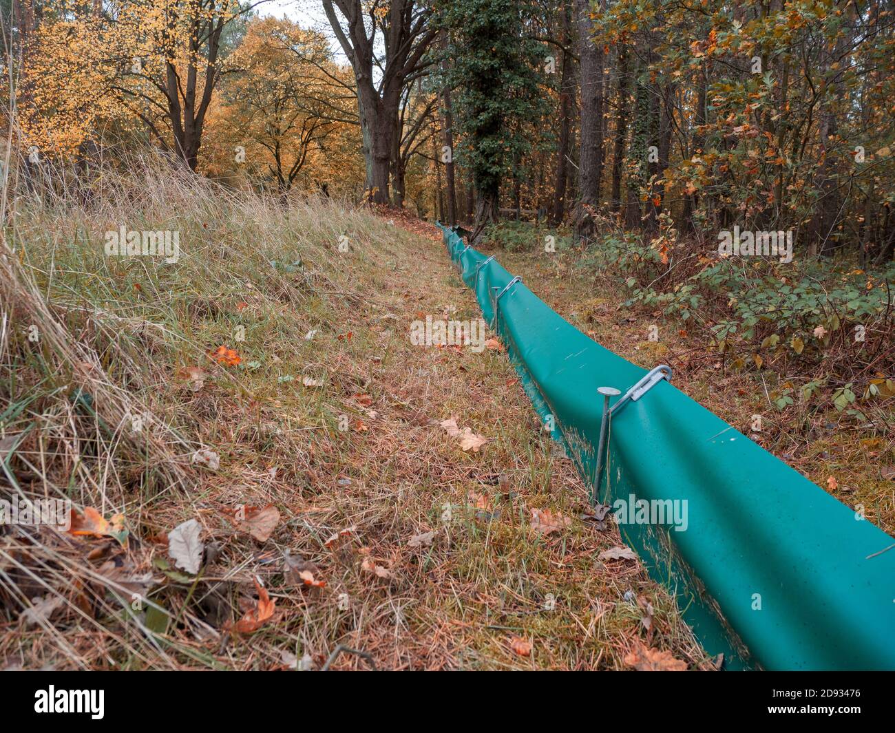 between a road and a forest there is a green fence to protect frogs and ...