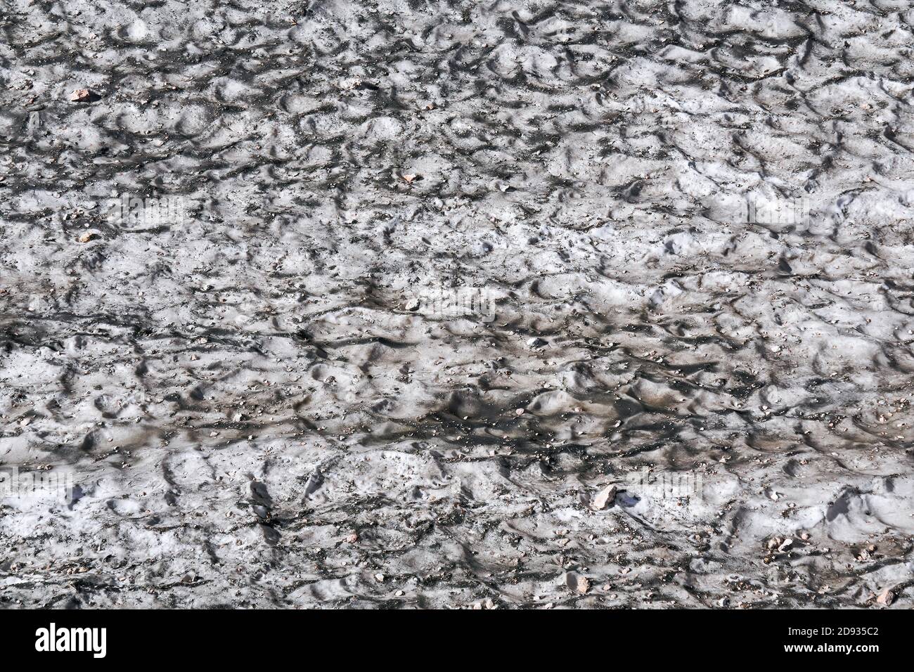 muddy surface of a melting mountain glacier covered with dust and ...