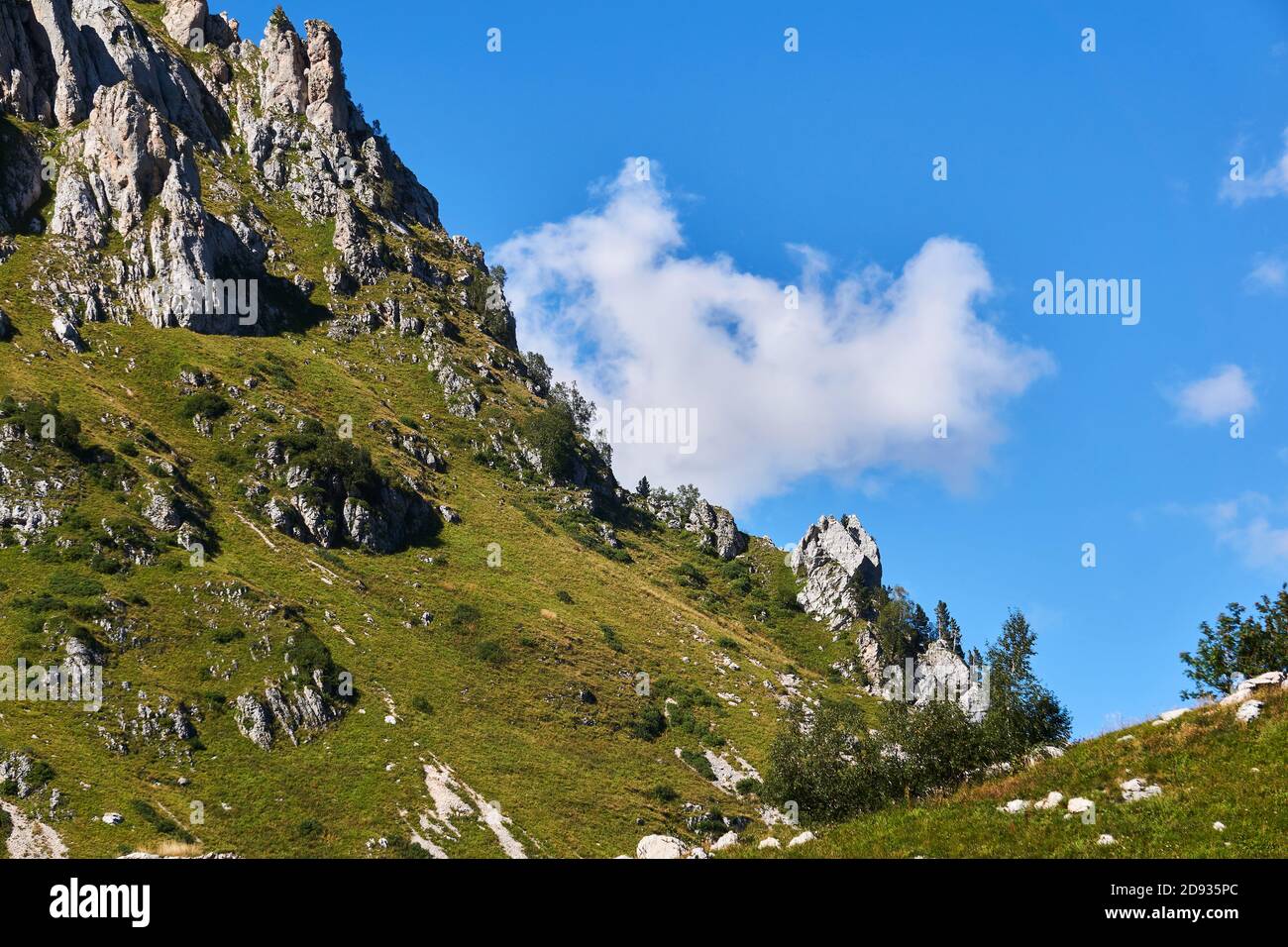 foot of a rocky mountain with white limestone rocks, overgrown with ...