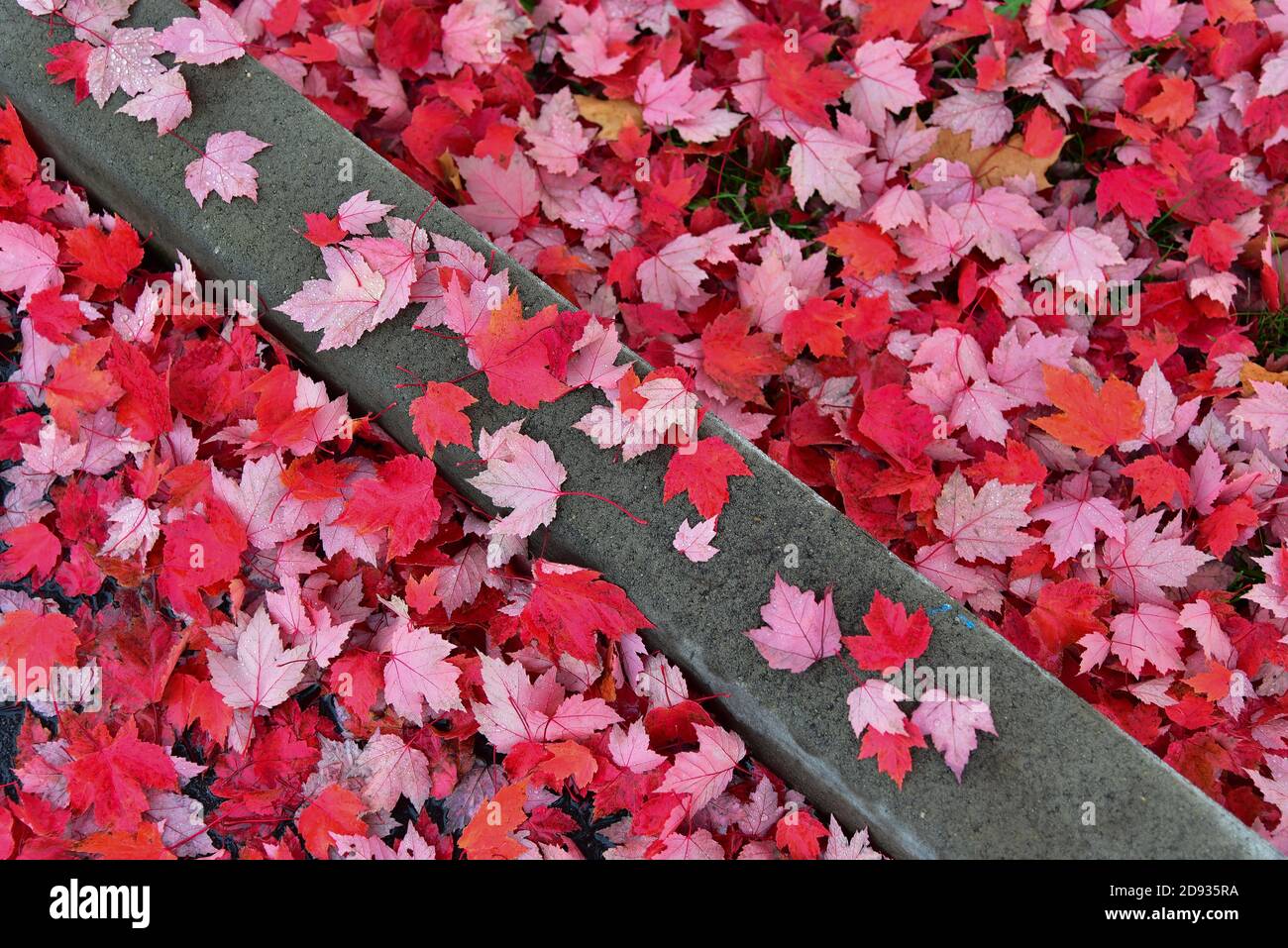 Sidewalk edge hi-res stock photography and images - Alamy