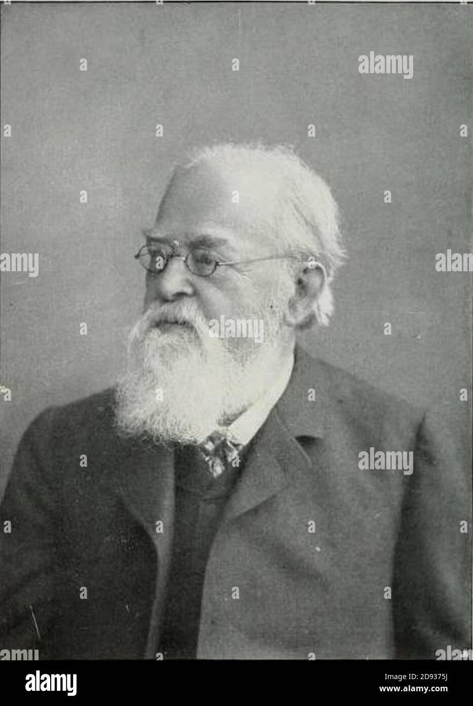 Karl Heinrich Ritthausen Stock Photo - Alamy