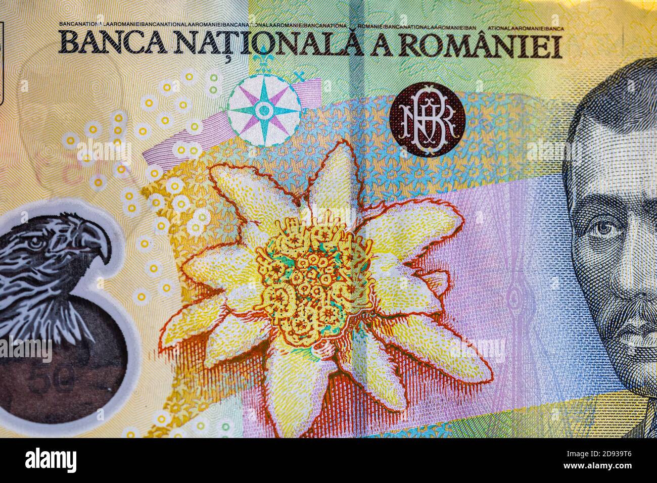 Selective focus on detail of lei banknotes. Close up macro detail of ...