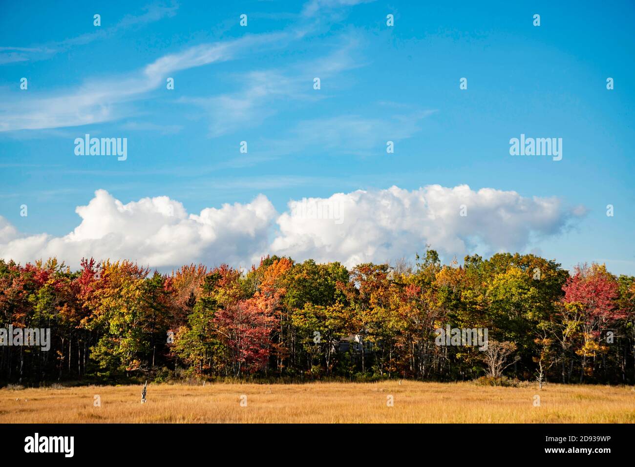 Autumn foliage and reflection in Maine landscape Stock Photo - Alamy