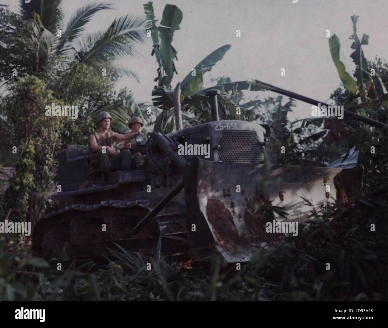 Jungle clearing, Operation Cedar Falls, 26 January 1967 Stock Photo - Alamy