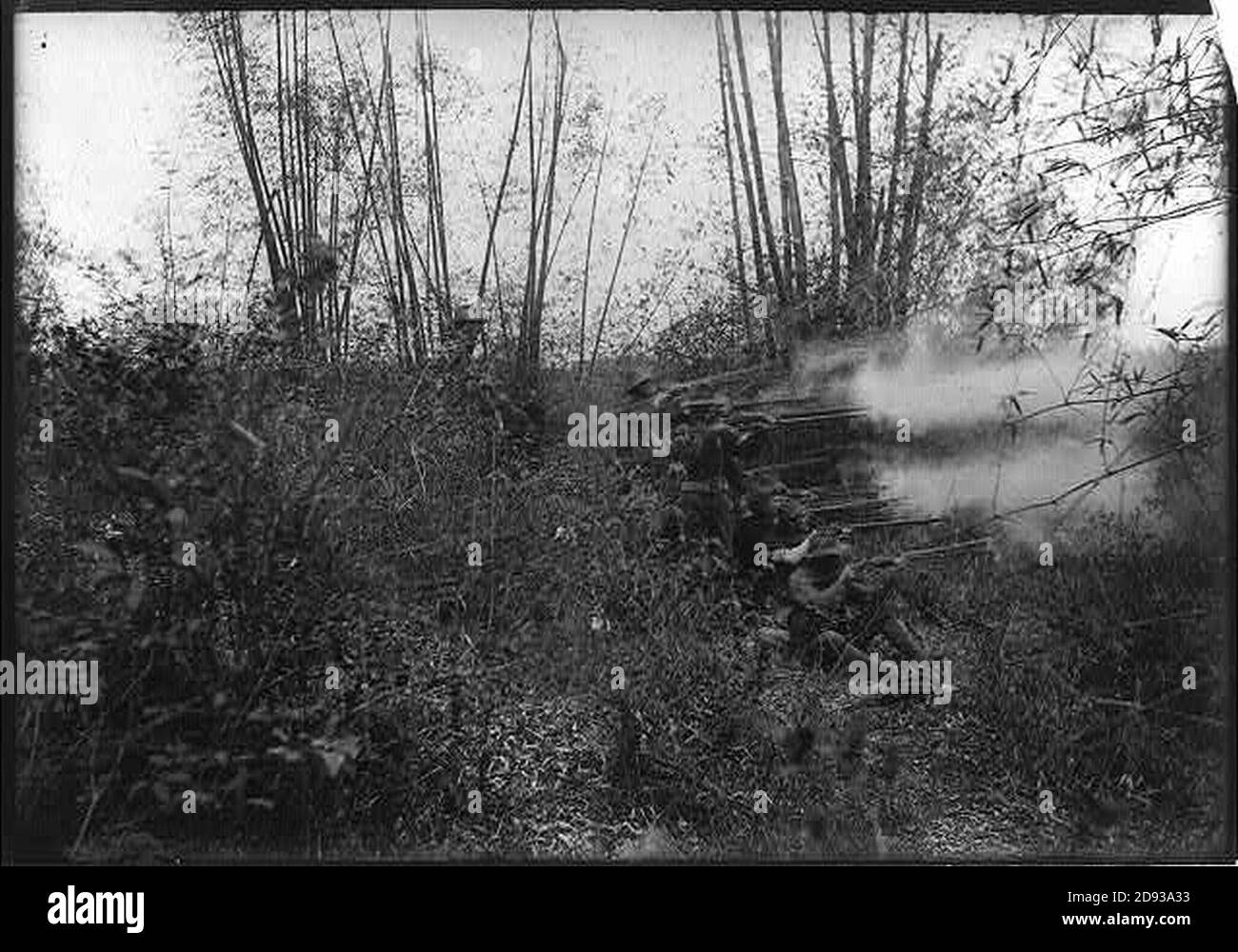 Jungle warfare hi-res stock photography and images - Alamy