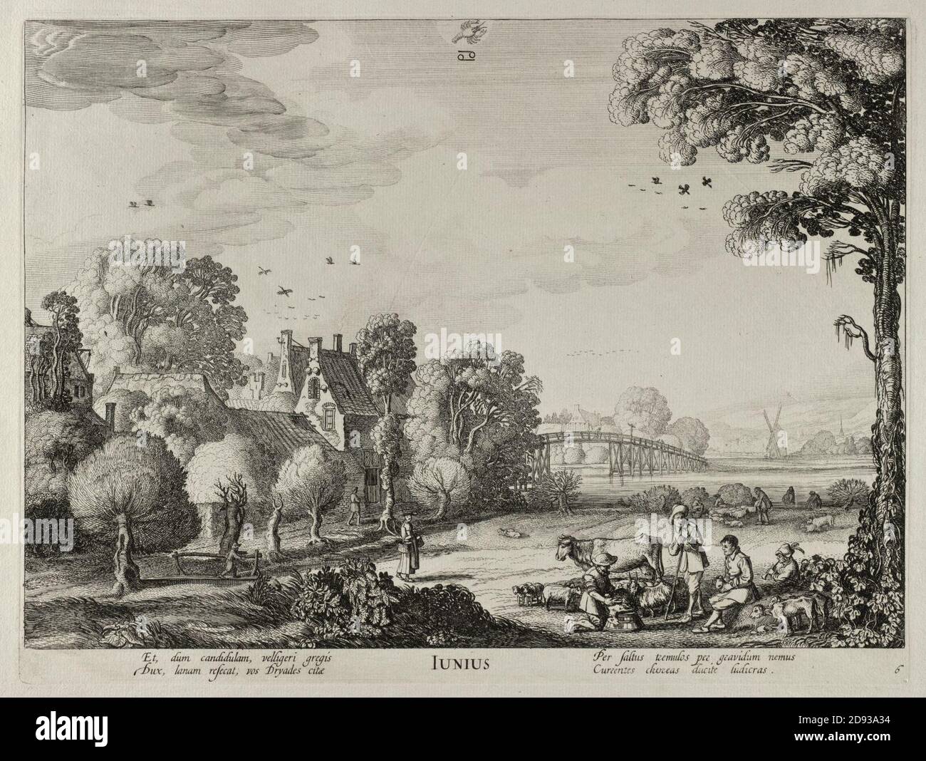 Iunius High Resolution Stock Photography and Images - Alamy