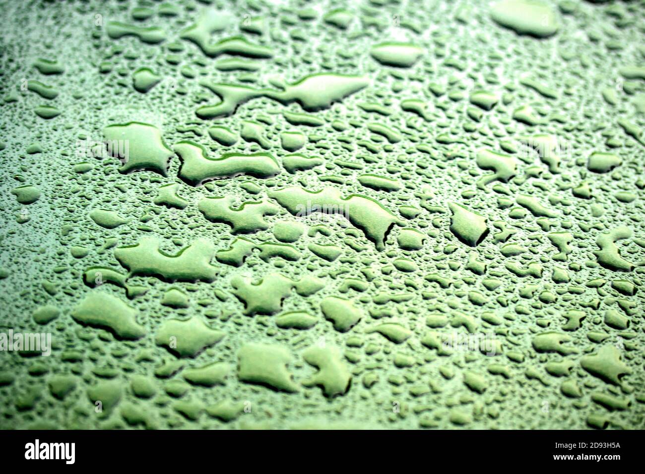 Water droplets on green car bonnet Stock Photo - Alamy