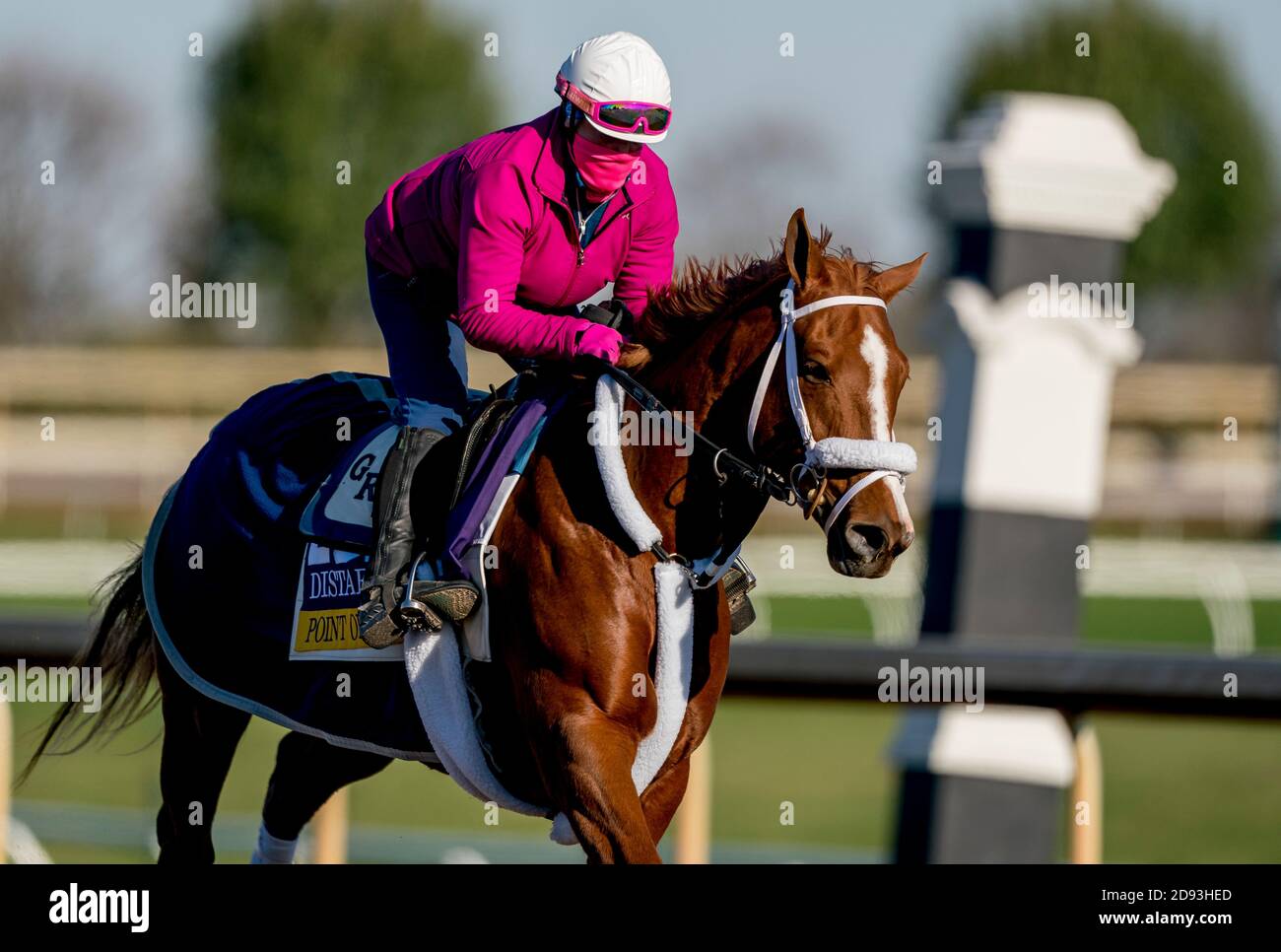 20201102 hi-res stock photography and images - Alamy