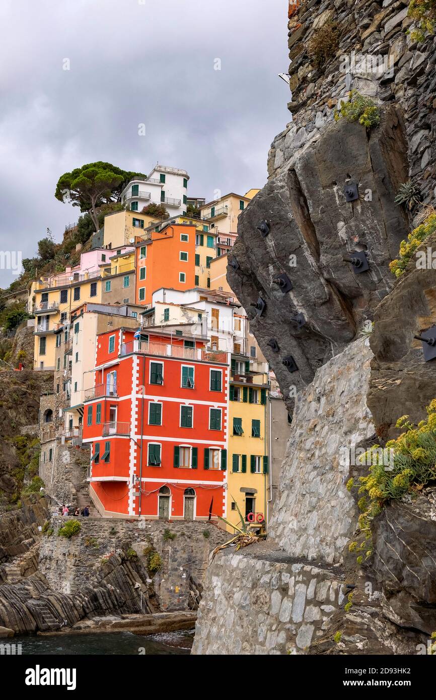 Colorful Traditional Houses - Riomaggiore, Cinque Terre, Italy Stock Photo - Alamy