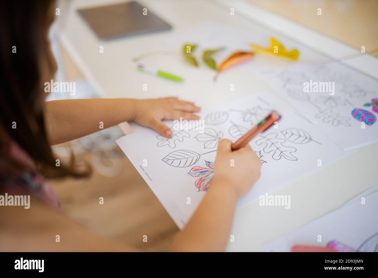 Little girl coloring different types of leaves on a paper sheet with a ...