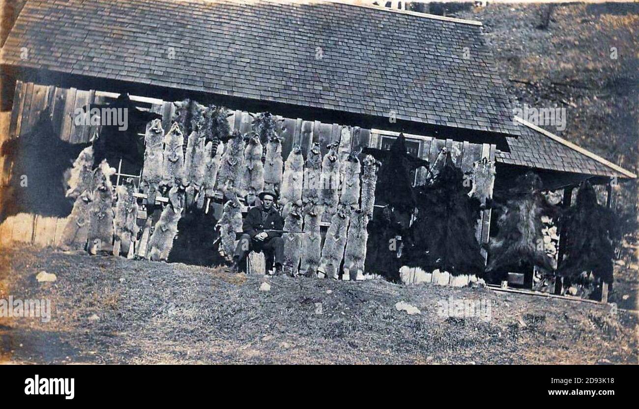 Fellen tree hi-res stock photography and images - Alamy