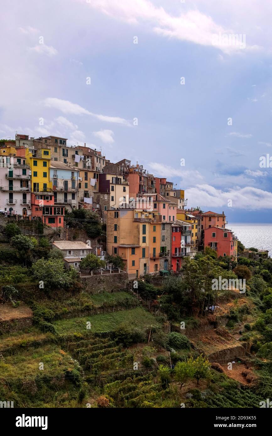 Colorful Houses Hanging in a Cliff with Terrace Green Fields ...