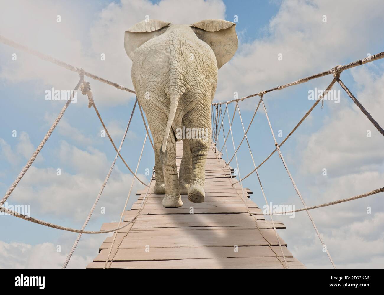 elephant walking througa wooden bridge on a cloudy sky Stock Photo - Alamy