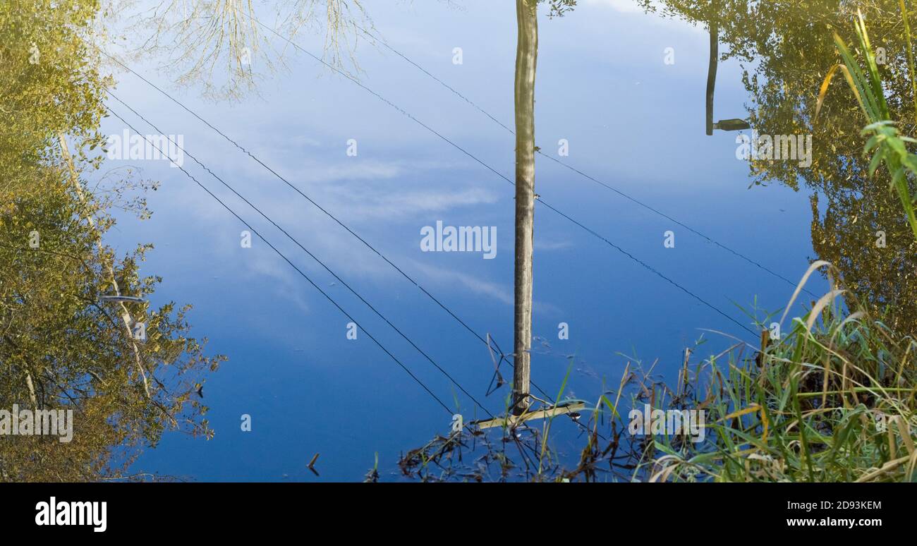reflection of power lines in pond in burnaby lake Stock Photo - Alamy